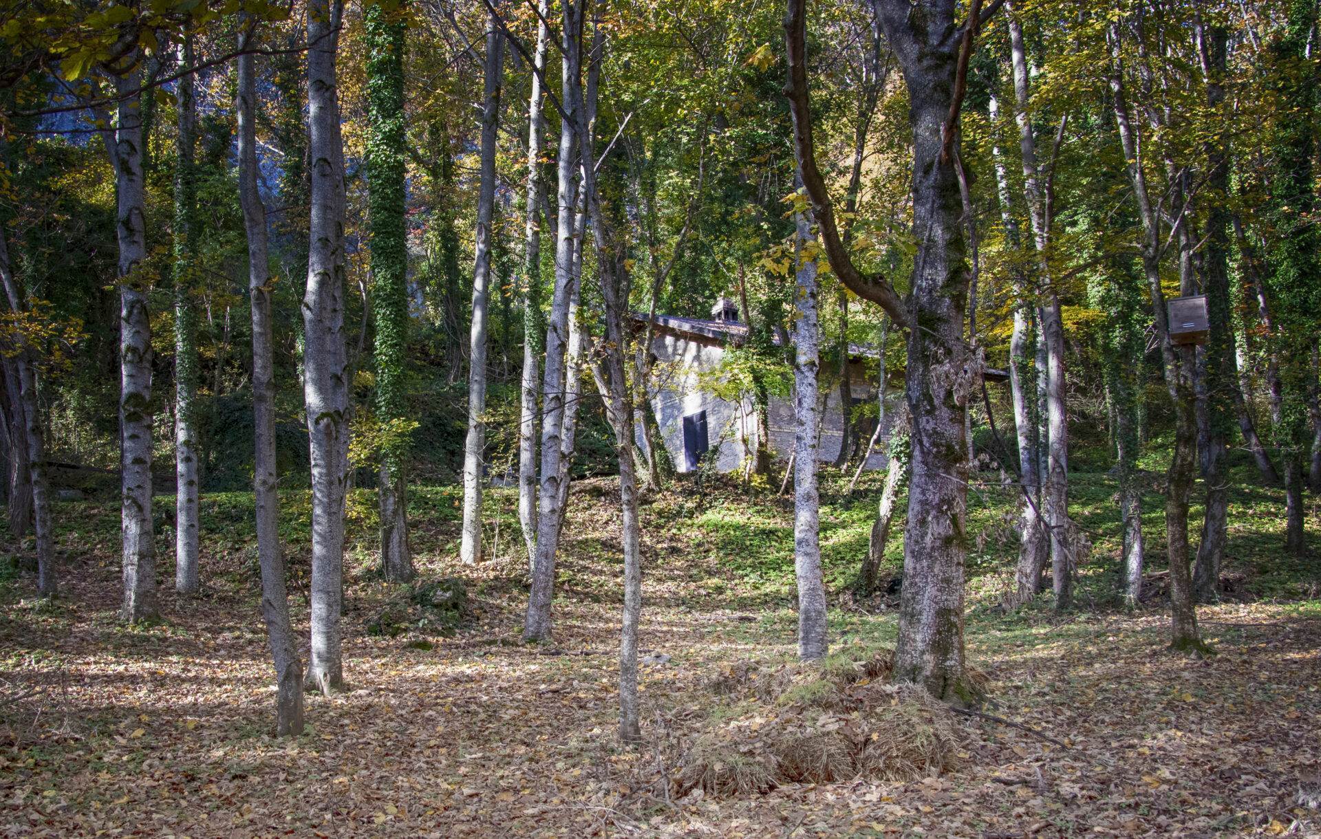 Galleria Beeodiversity Park - voltignolands